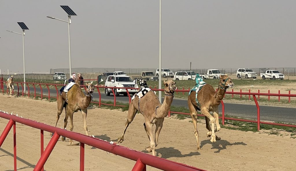 Kuwait beyond the Gulf War - Broader Horizons